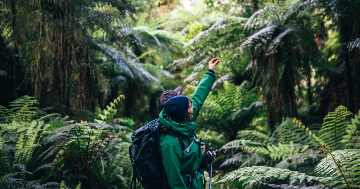 The Hollyford Track - Visit Fiordland