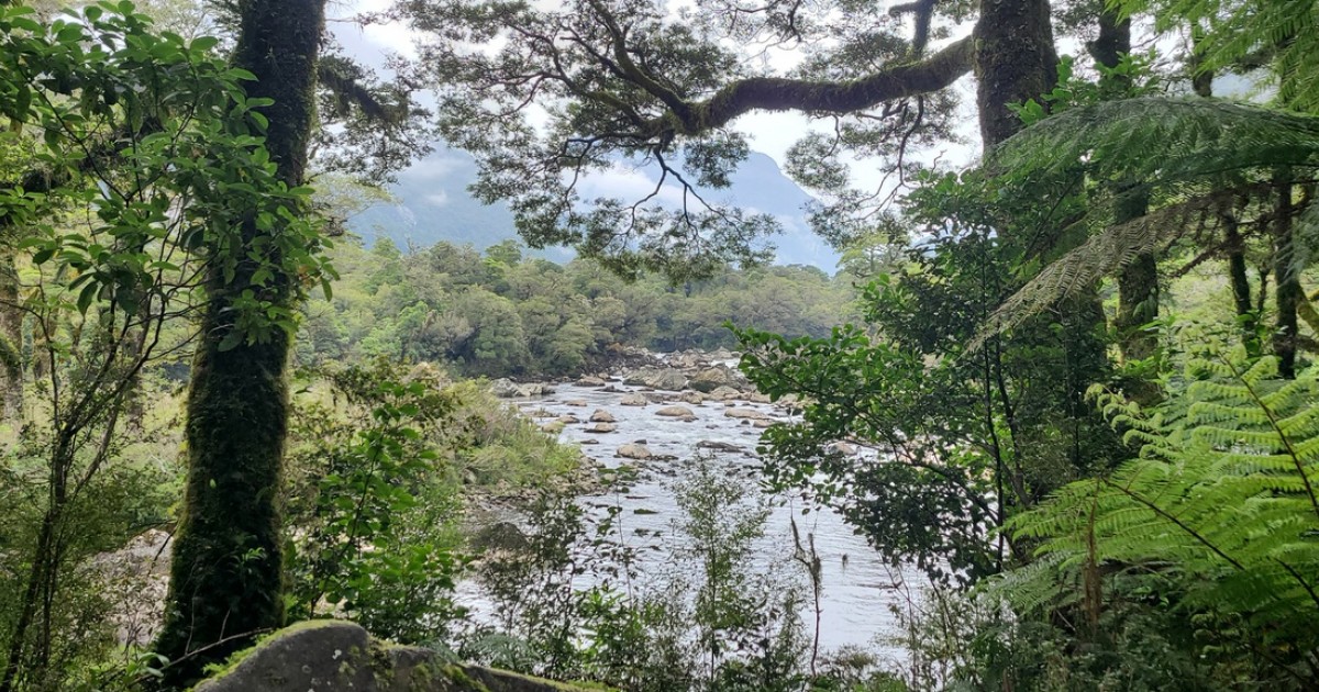 Fiordland National Park Fiordland National Park Wallpapers (42 Images)